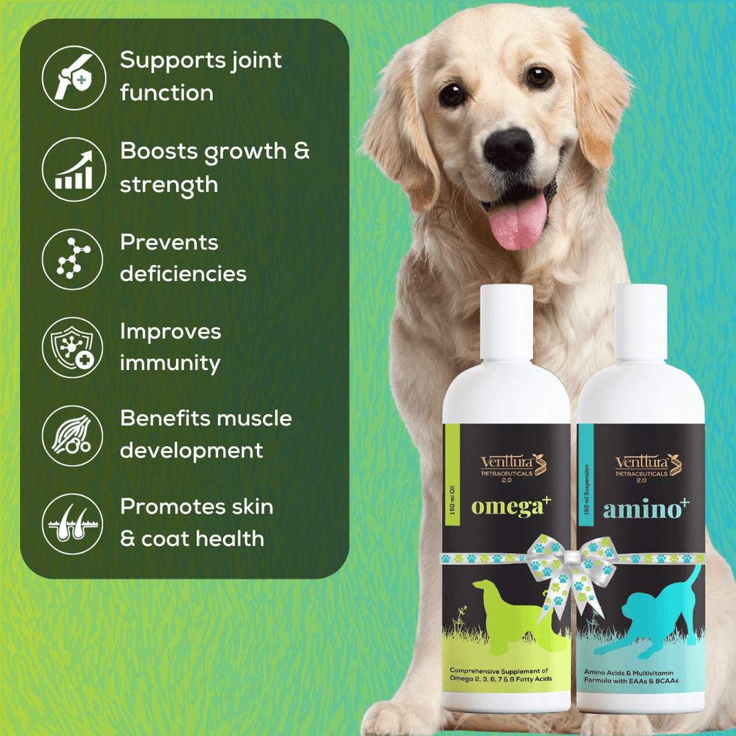 Venttura – Premium Pet Supplements for Dogs, Cats & Horses
