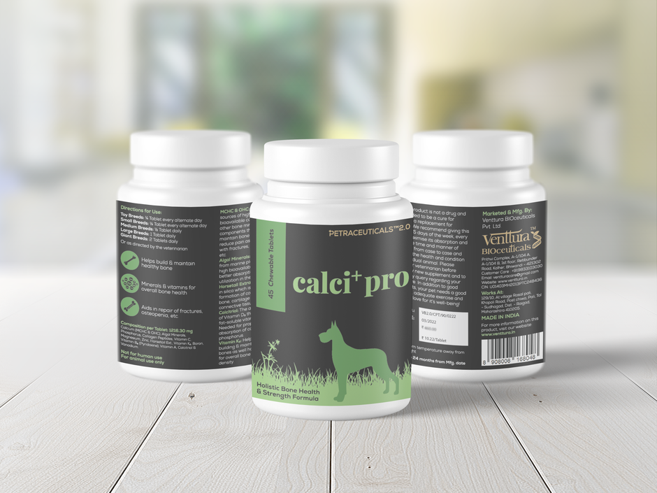 Should you Spay or Neuter your Dog?