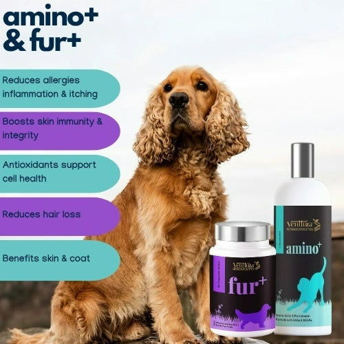 Dog Muscle Supplement | Amino+ & Fur+ Bundle for Strength